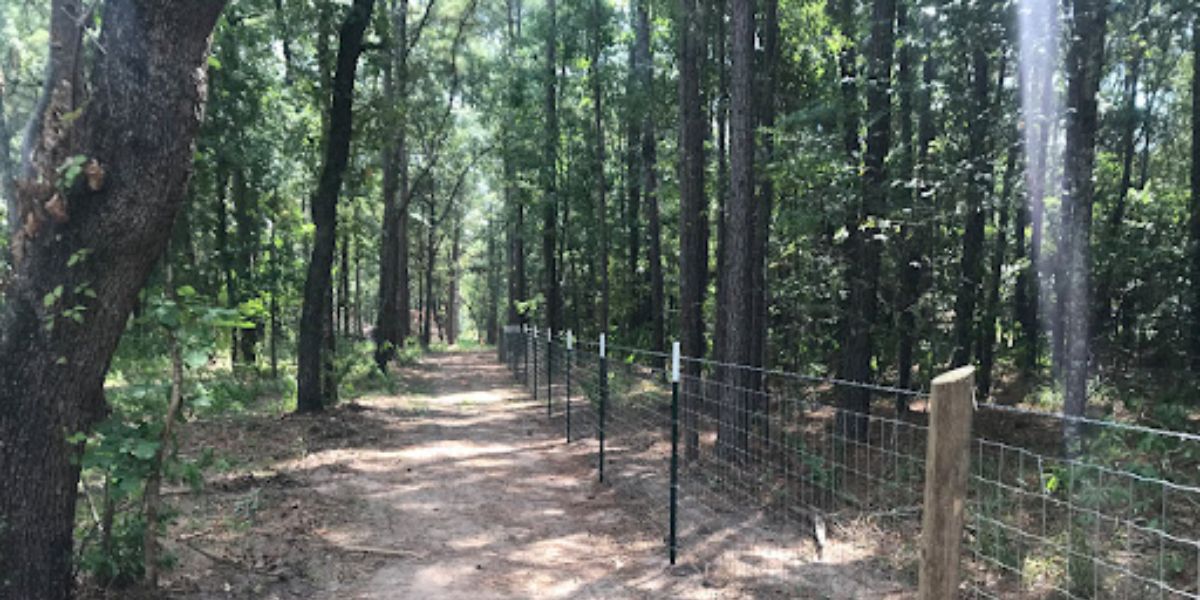 Canyon Lake Land Clearing